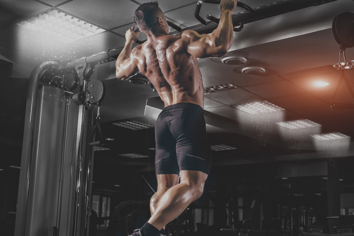 Weighted Pull Ups - Levi Mowles | Pro MMA Fighter | BJJ Black Belt